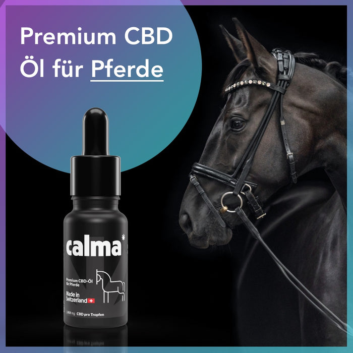 CBD Öl für Pferde | Premium 10% CBD Tropfen 🐴